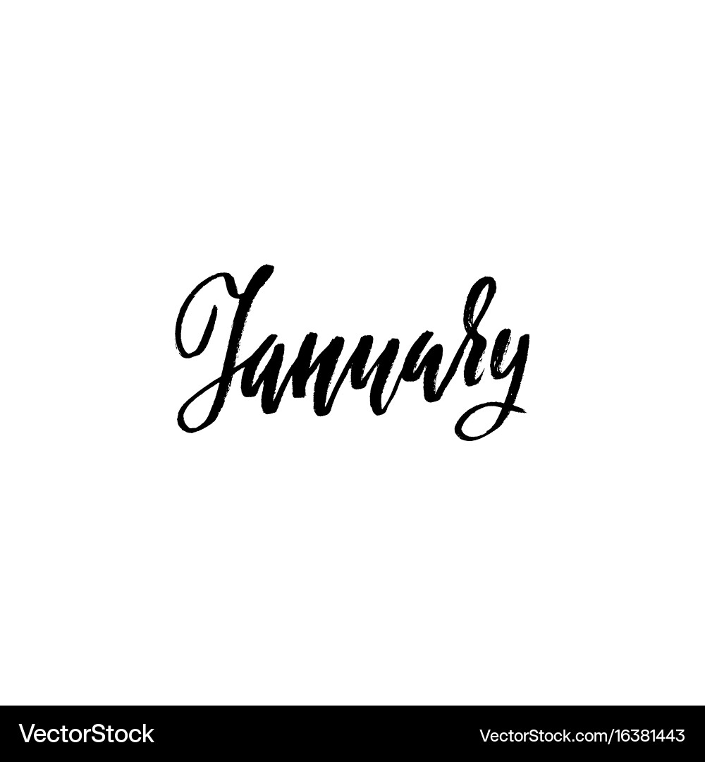 Hand drawn typography lettering january month Vector Image