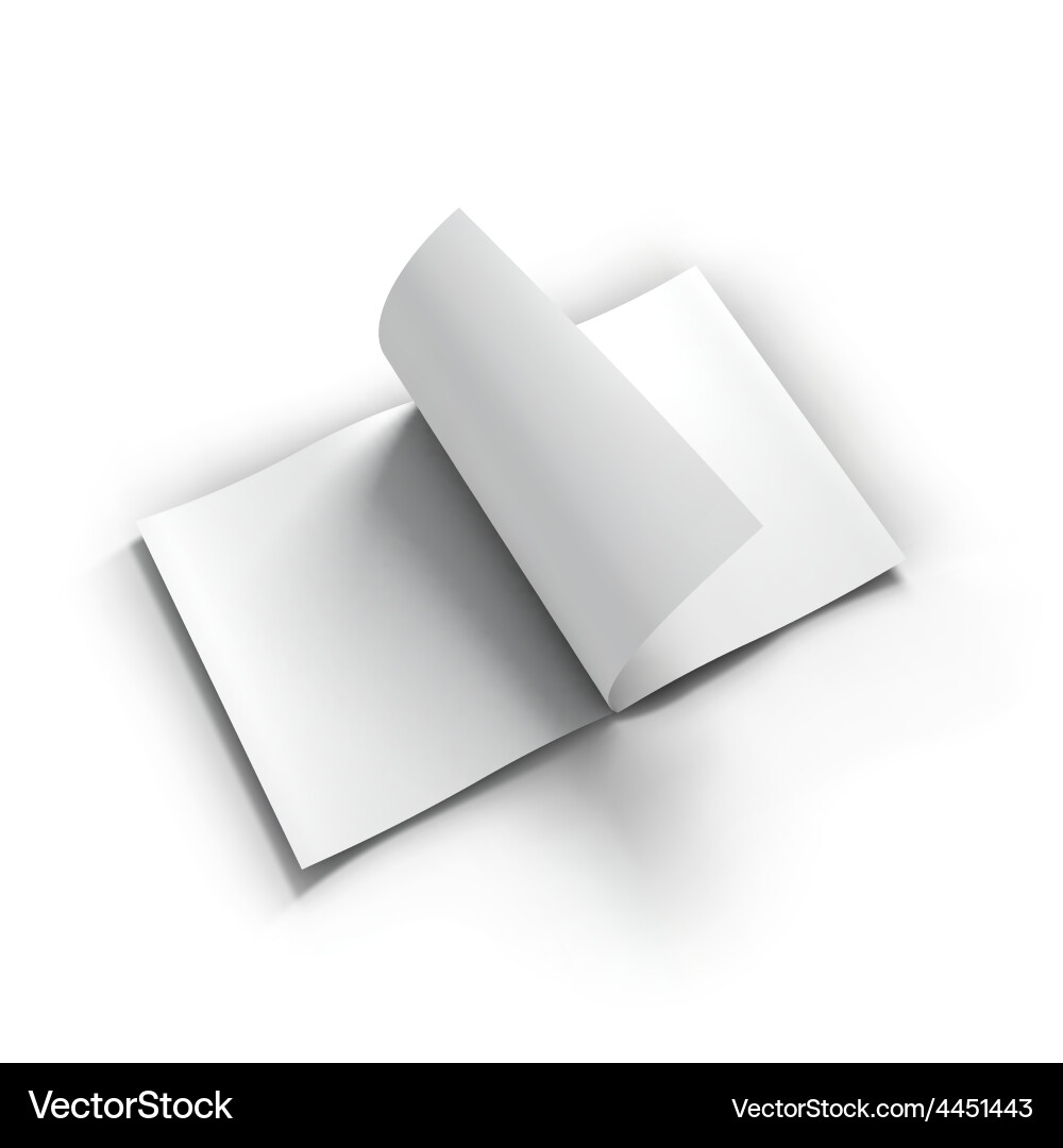 White blank magazine spread business mockup Vector Image