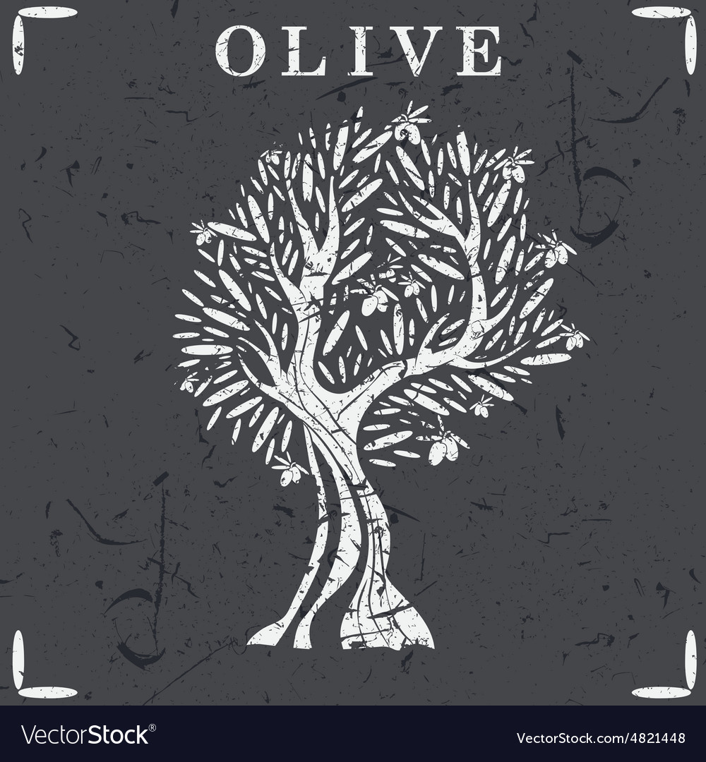 Olive tree Royalty Free Vector Image - VectorStock