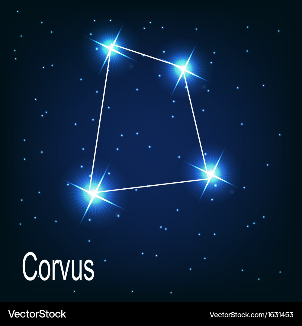 The constellation corvus star in night sky Vector Image