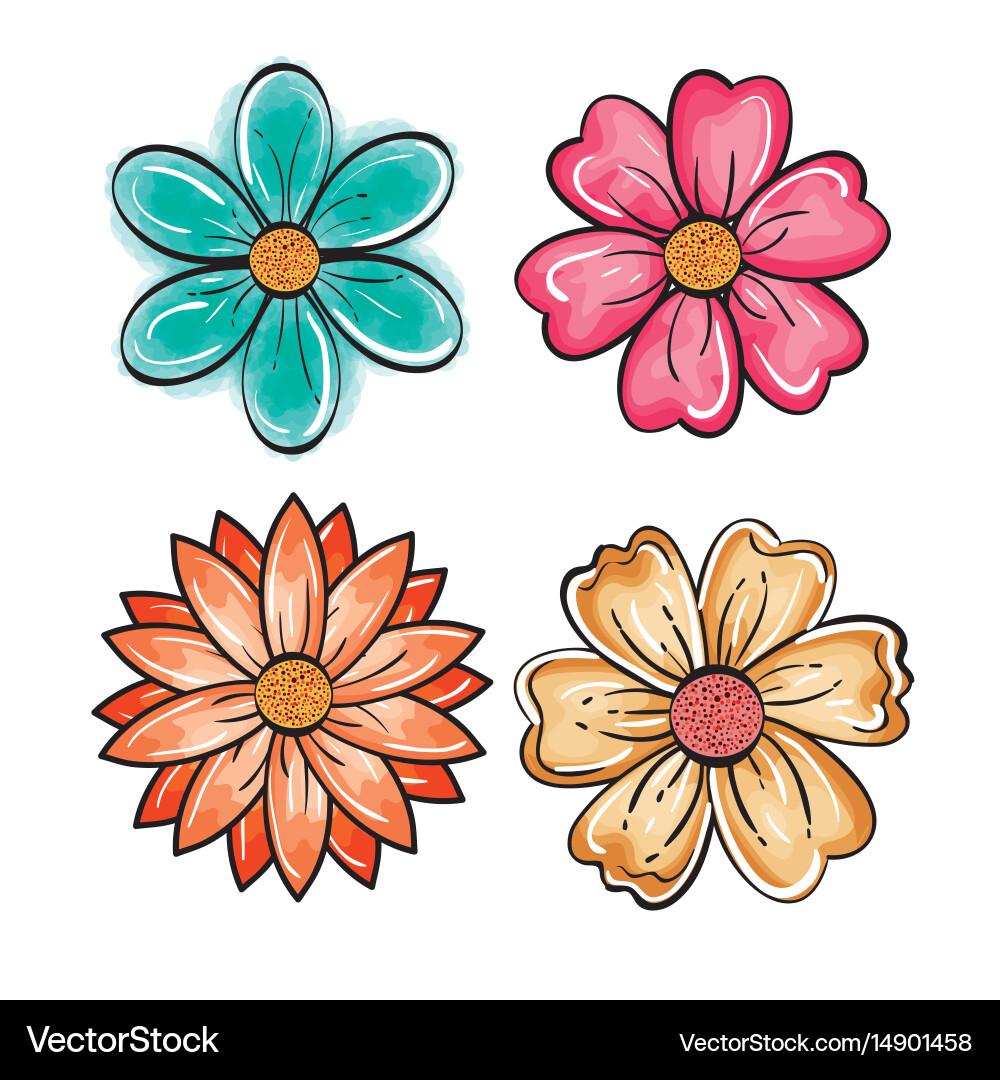 Set of flowers design Royalty Free Vector Image