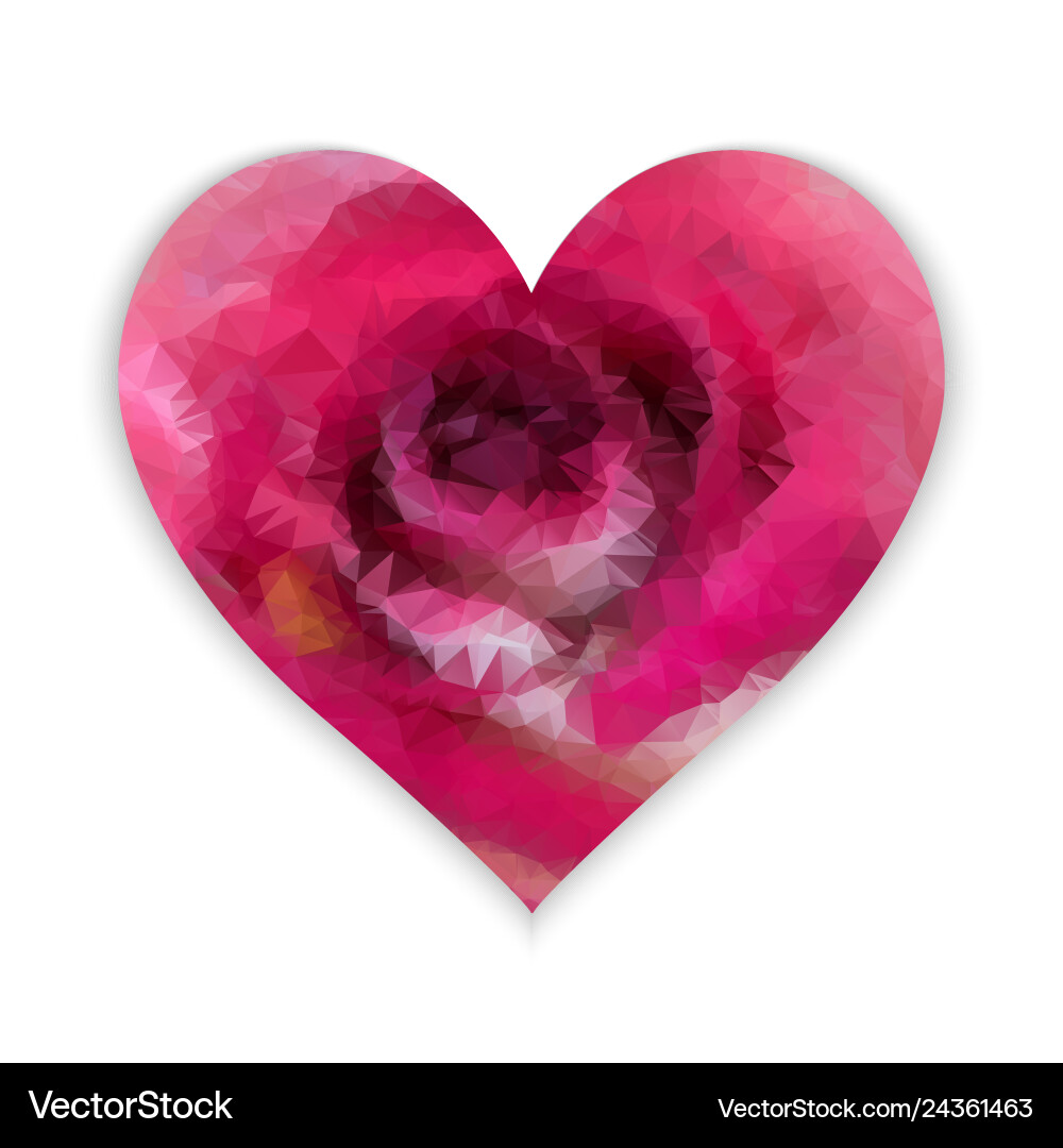 Beautiful heart rose on white Royalty Free Vector Image
