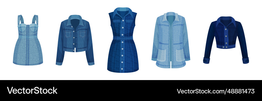 Denim jeans clothes and different garment Vector Image