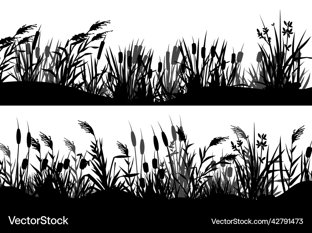 Reed silhouette black cattail grass strip border Vector Image
