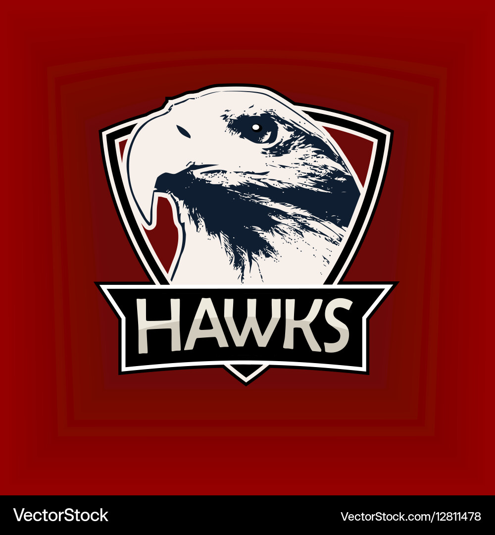 Professional sports logo emblem template Vector Image