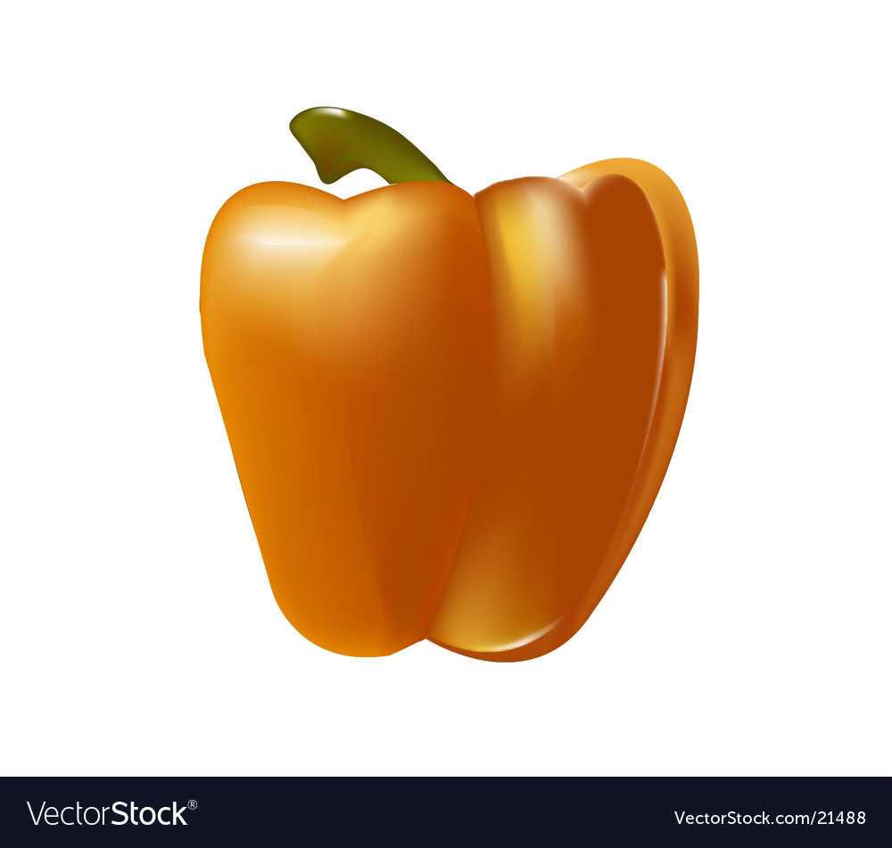 Pepper Royalty Free Vector Image - VectorStock