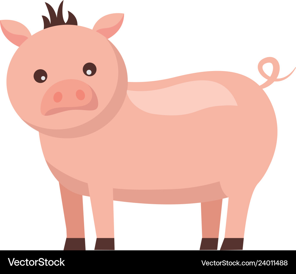 Pig farm animal Royalty Free Vector Image - VectorStock