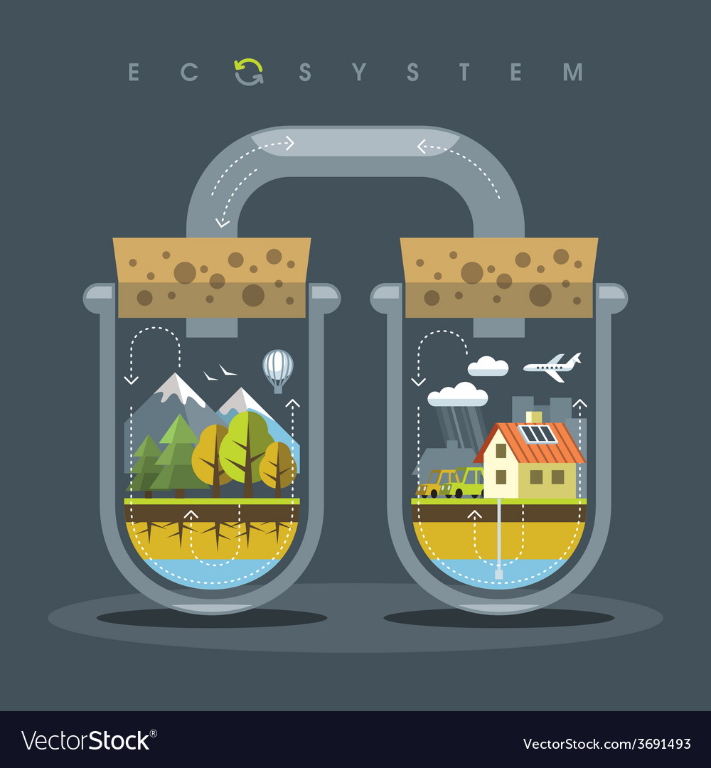 Flat Ecosystem Royalty Free Vector Image - VectorStock