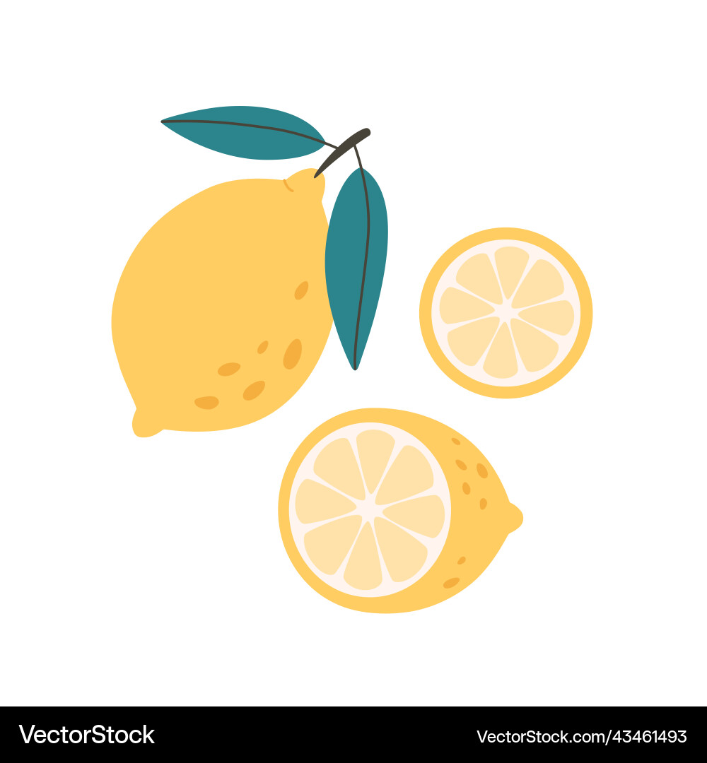Fresh lemon with lemon slices citrus fruit Vector Image