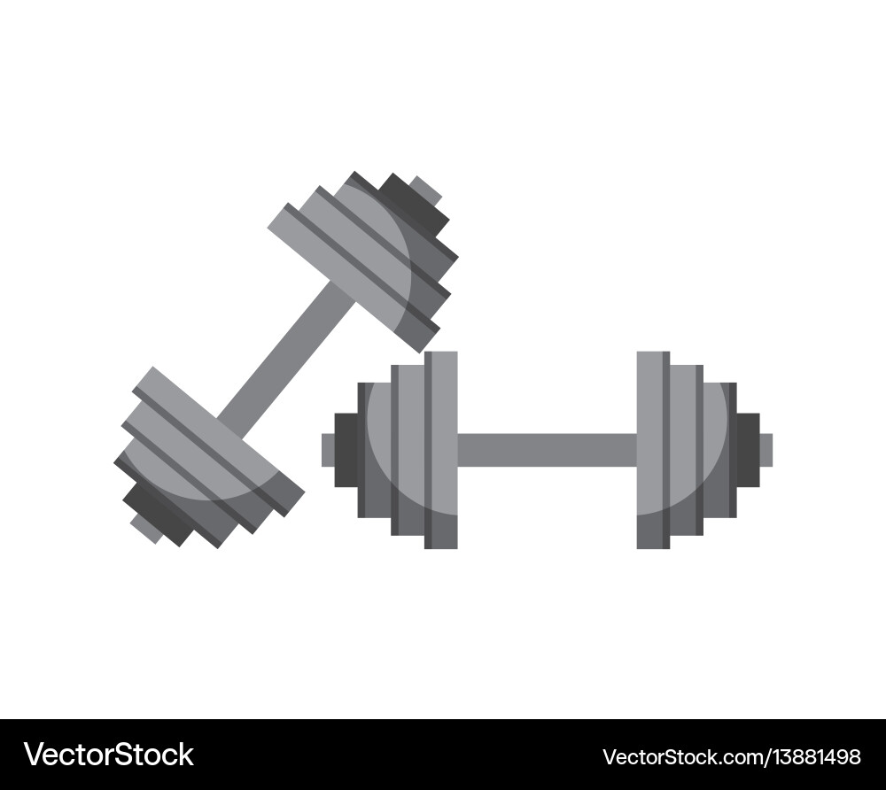 Dumbbell icon image Royalty Free Vector Image - VectorStock