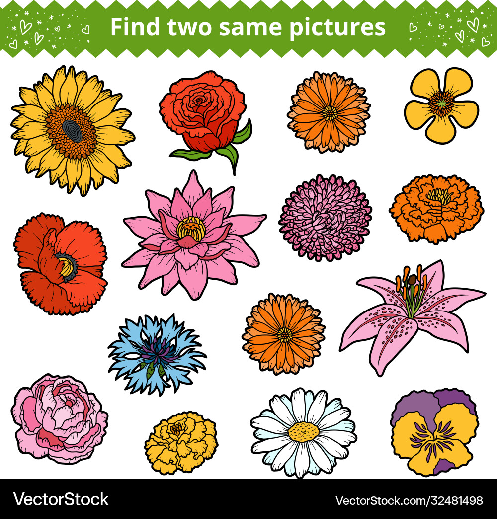 Find two same pictures color set flowers Vector Image