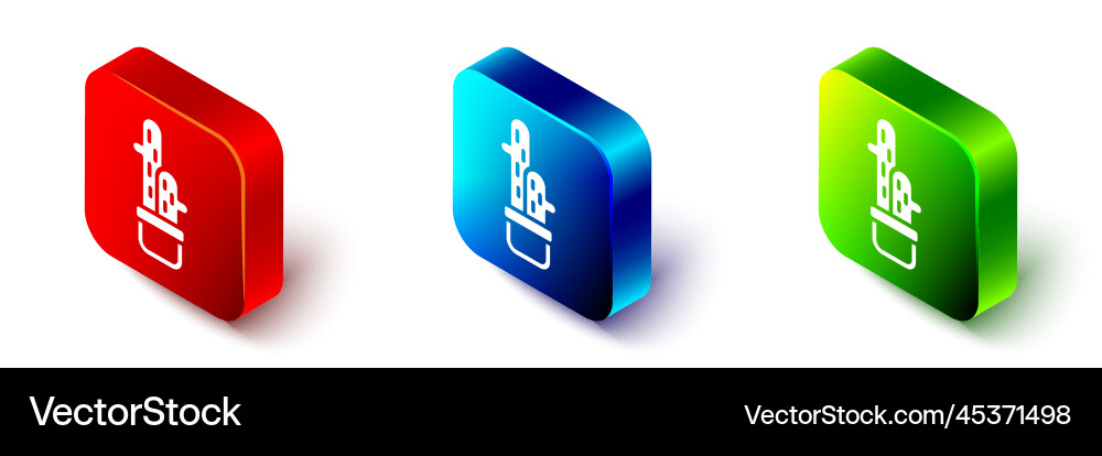 Isometric cactus peyote in pot icon isolated Vector Image