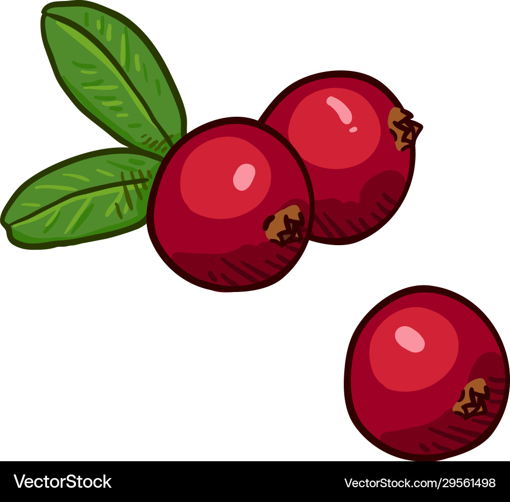 Set cartoon cowberry Royalty Free Vector Image
