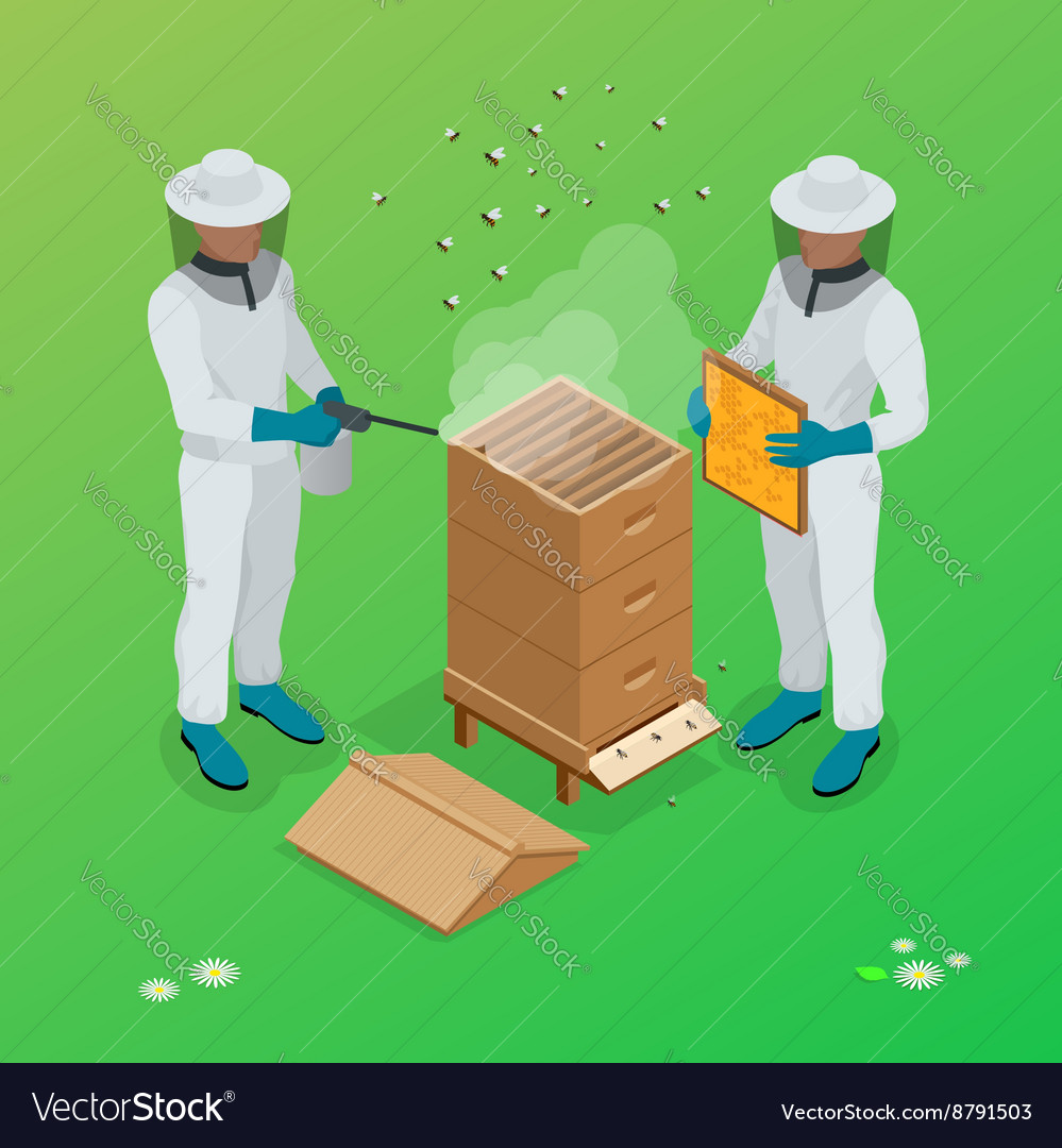 Apiary beekeeper Royalty Free Vector Image - VectorStock