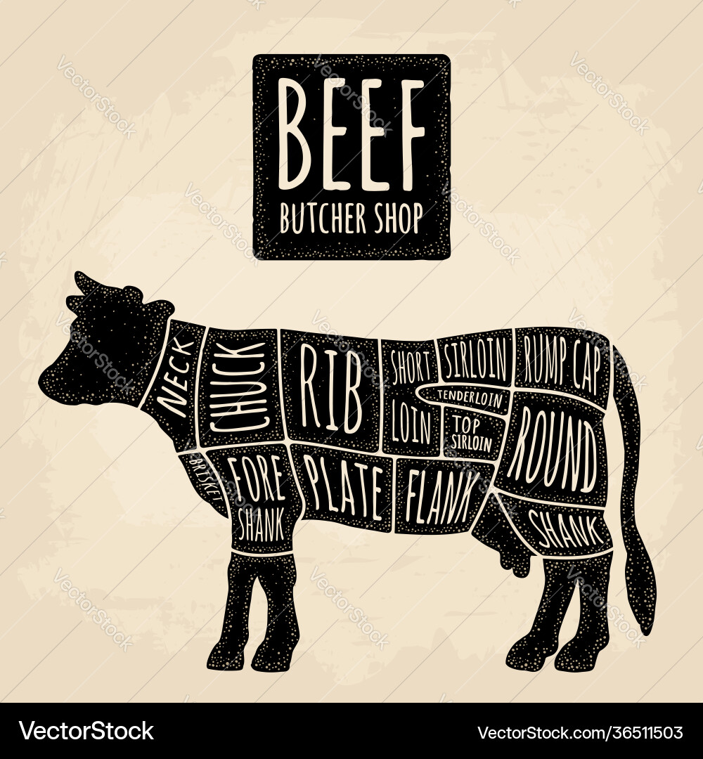 Cuts cow meat beef handwriting lettering Vector Image