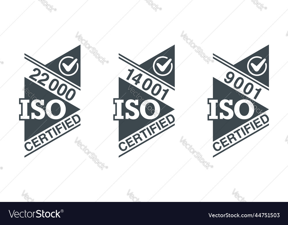Iso certified monochrome square stamps set Vector Image