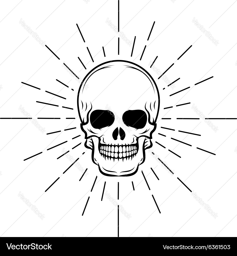 Vintage skull label emblem and logo Royalty Free Vector