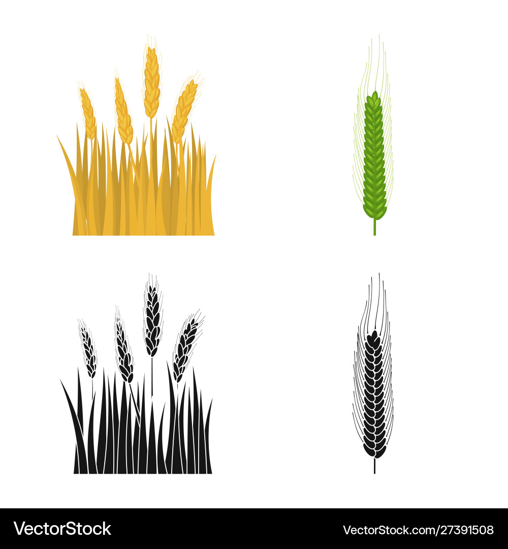 Agriculture and farming Royalty Free Vector Image