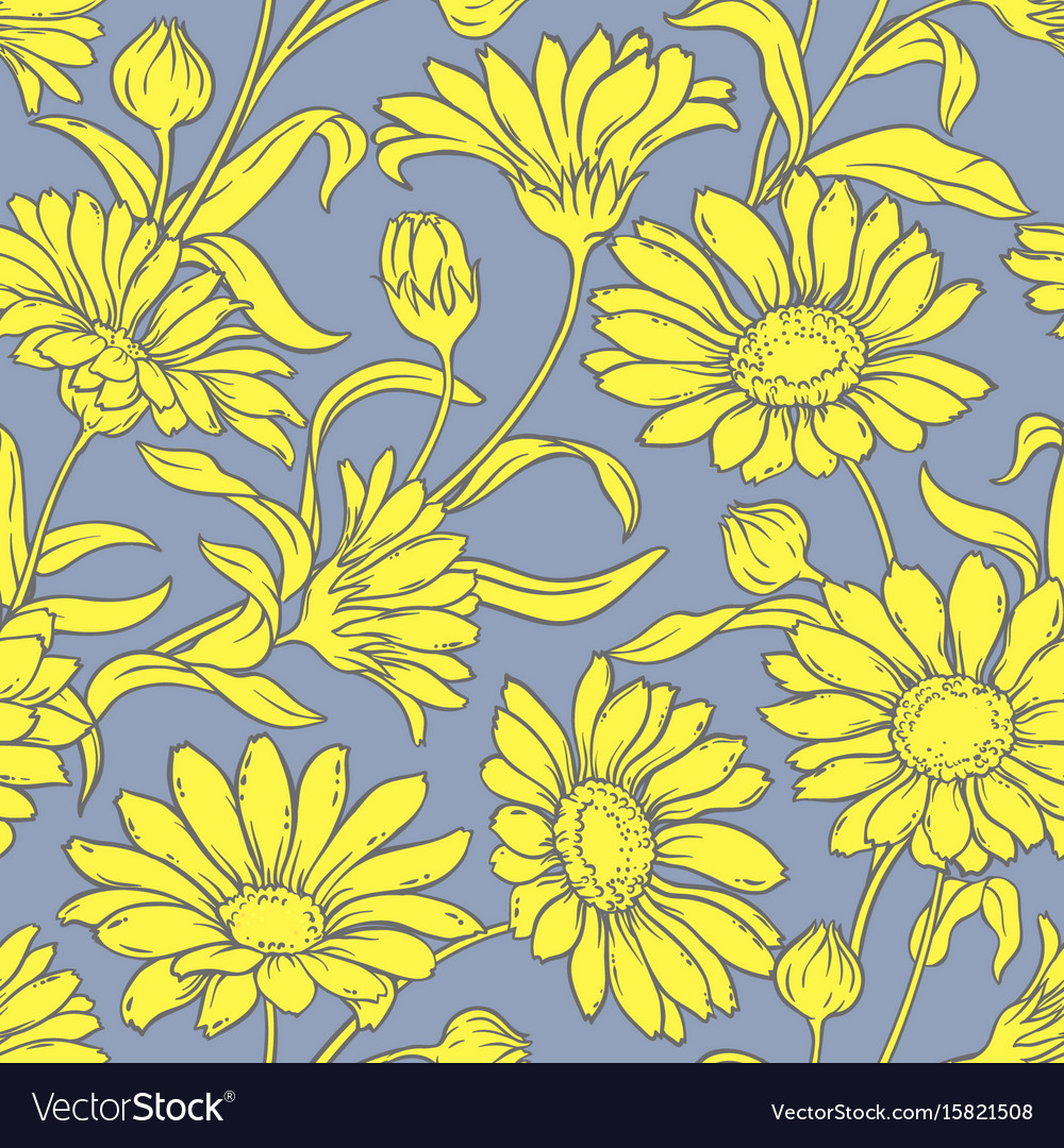 Calendula seamless pattern Royalty Free Vector Image