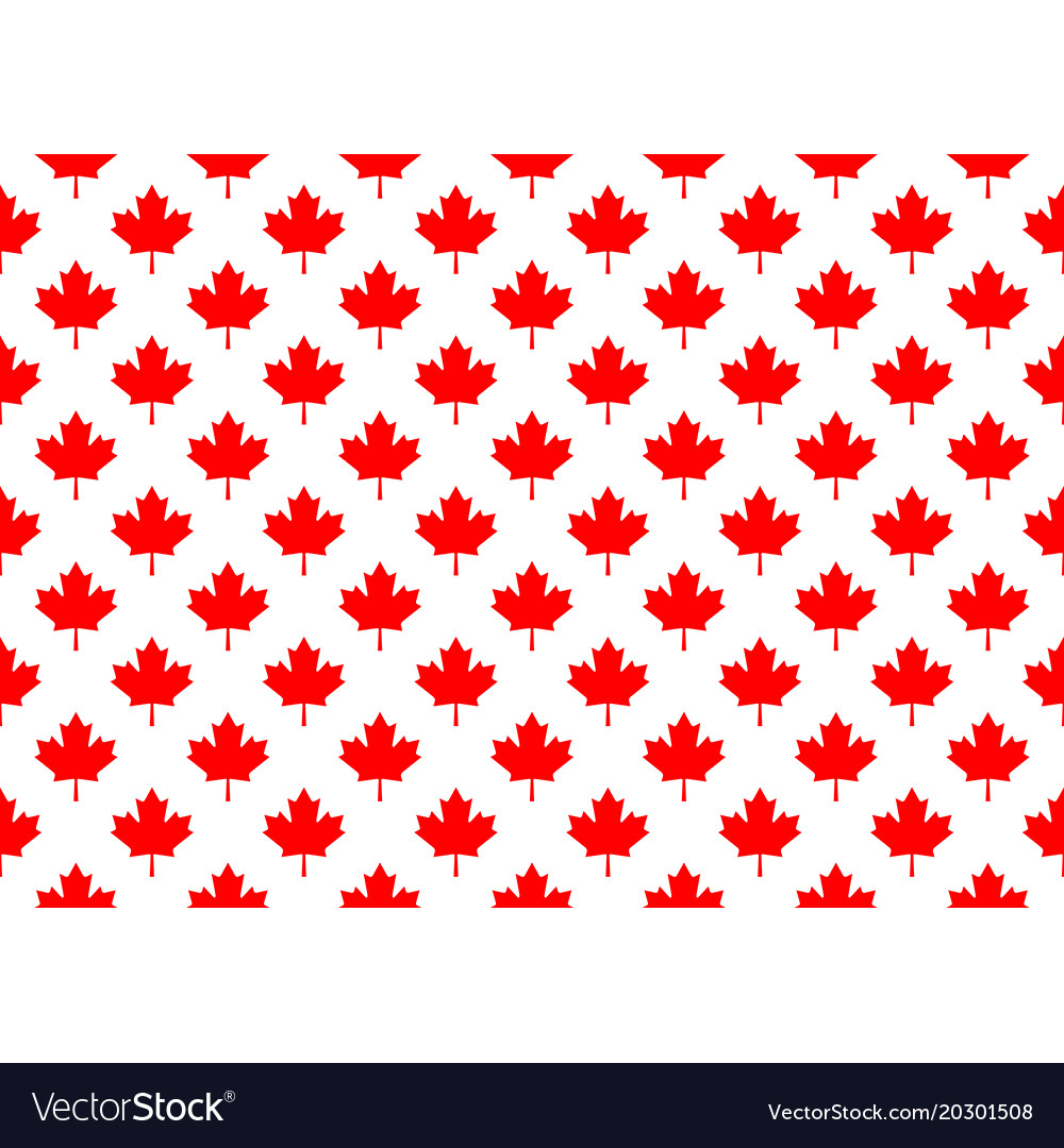 Red maple canada seamless pattern Royalty Free Vector Image