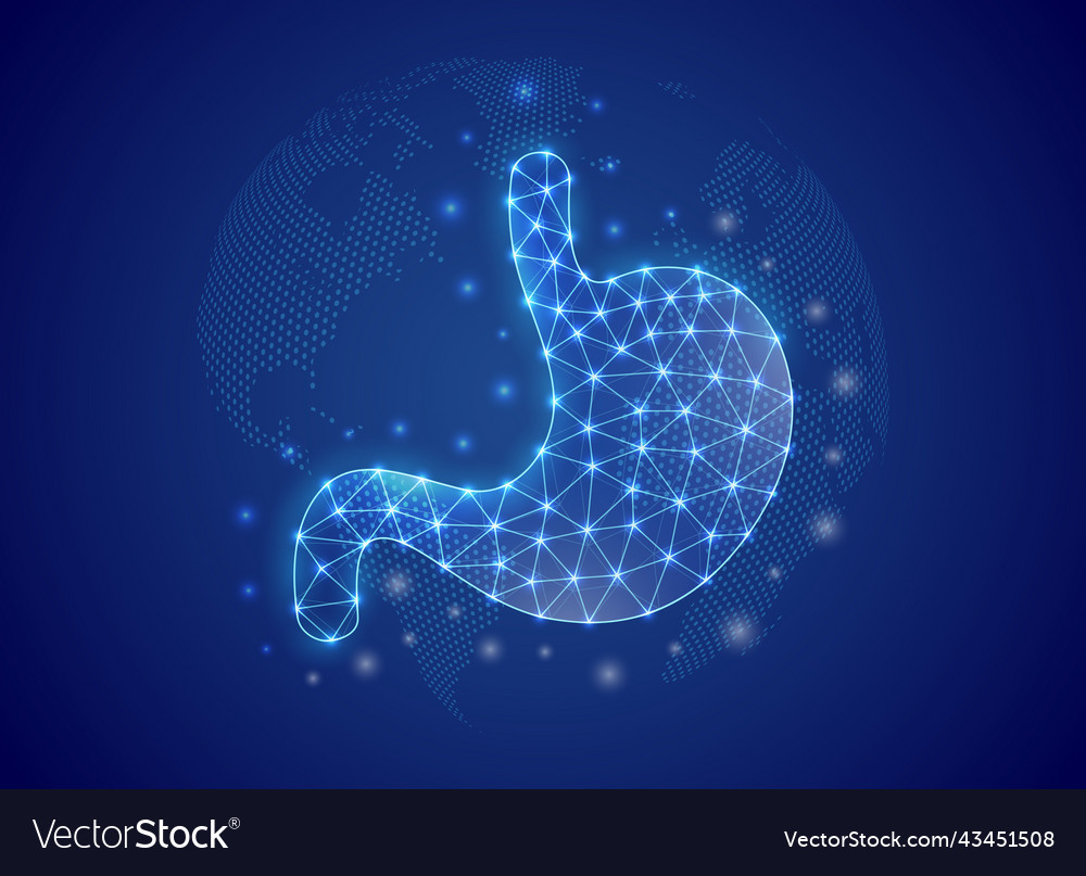 Stomach 3d low poly symbol with world map Vector Image Stomach 3d low poly symbol with world map Vector Image