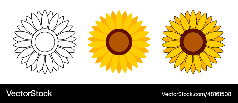 Sunflower head for greeting card decorative Vector Image