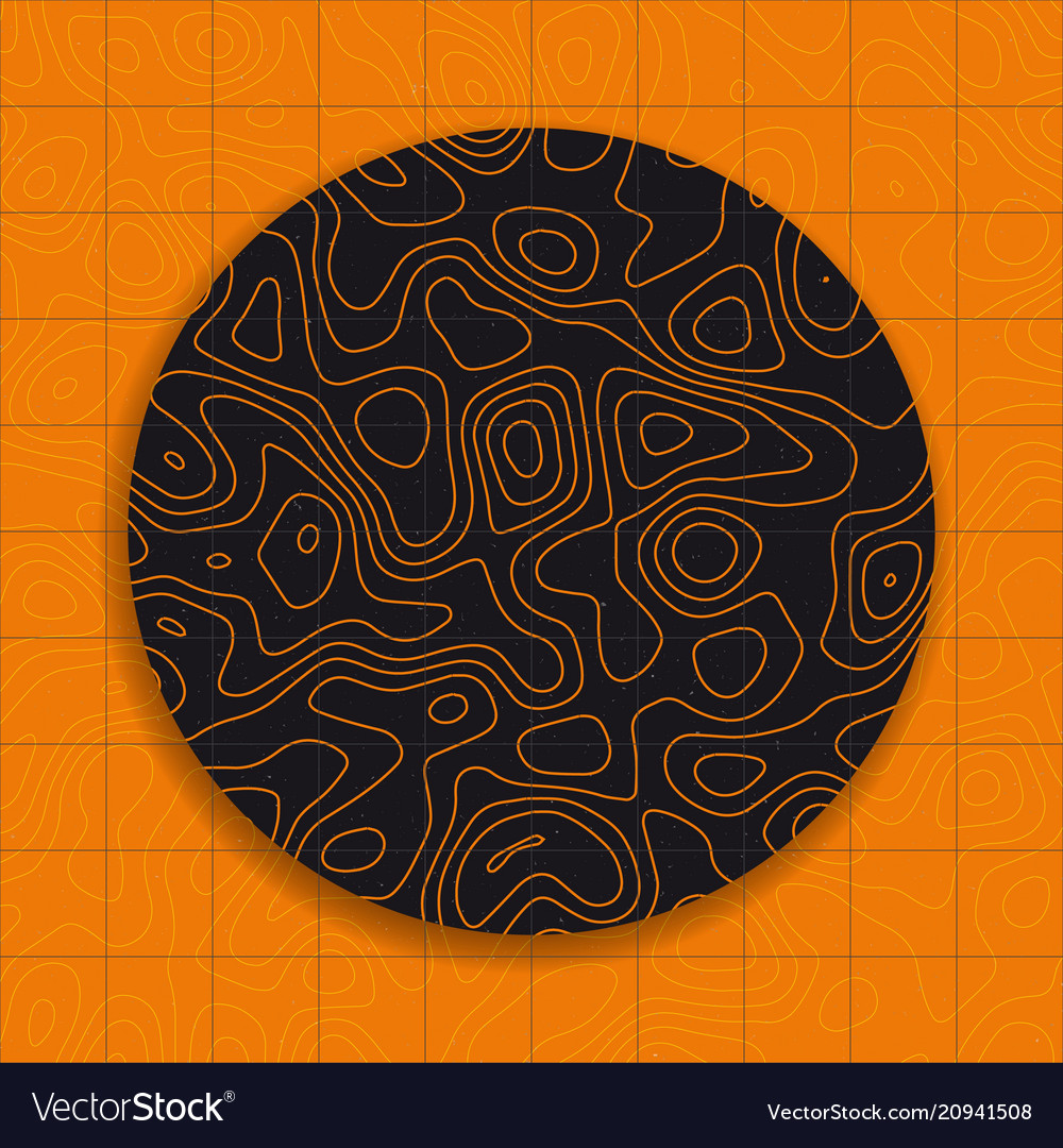 Topography map Royalty Free Vector Image - VectorStock