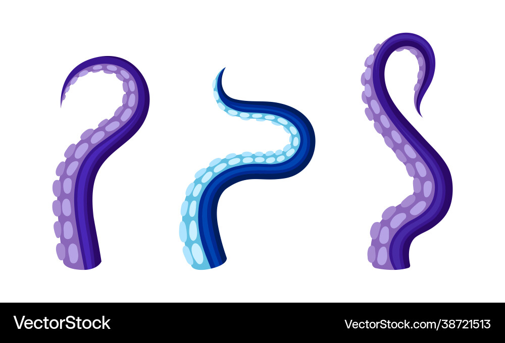 Octopus tentacles or limbs wiggling and snaking Vector Image