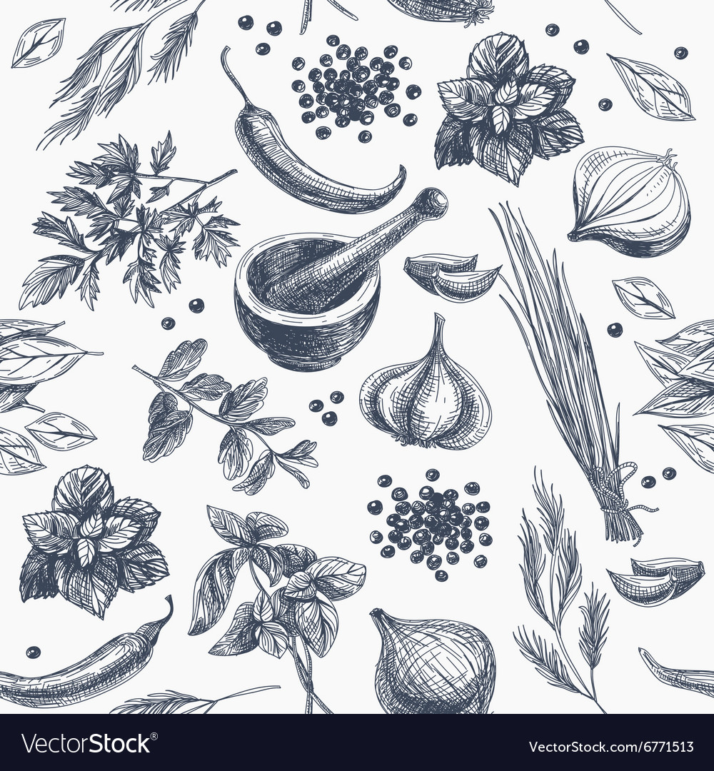 Seamless pattern with herbs and spices Royalty Free Vector