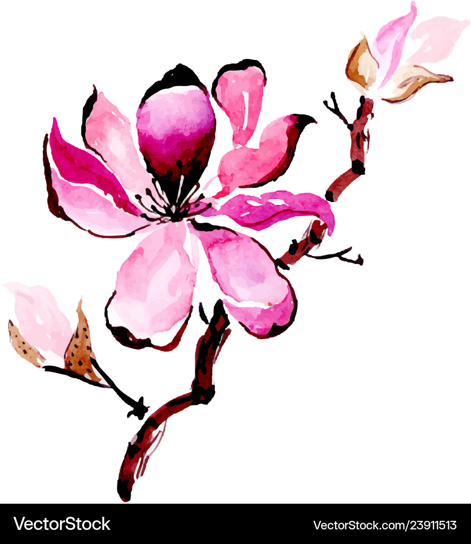 Watercolor spring floral collection Royalty Free Vector