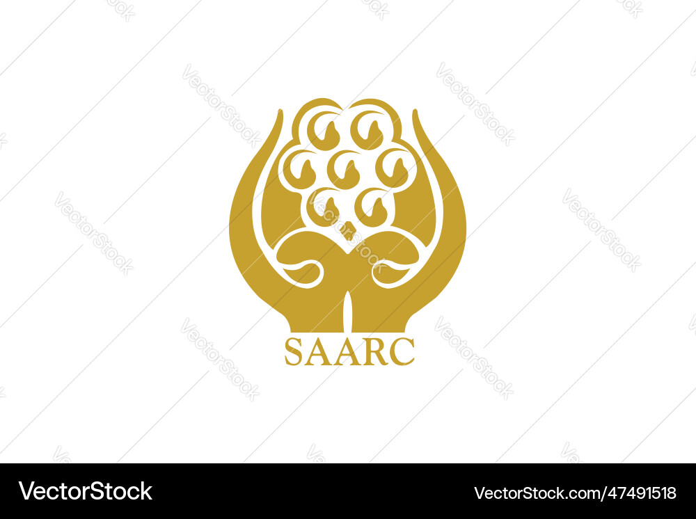 Flag of saarc Royalty Free Vector Image - VectorStock