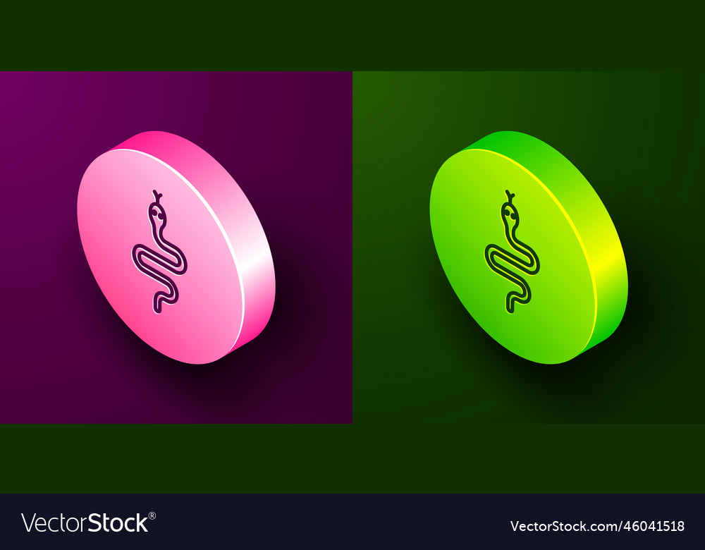Isometric line snake icon isolated on purple and Vector Image