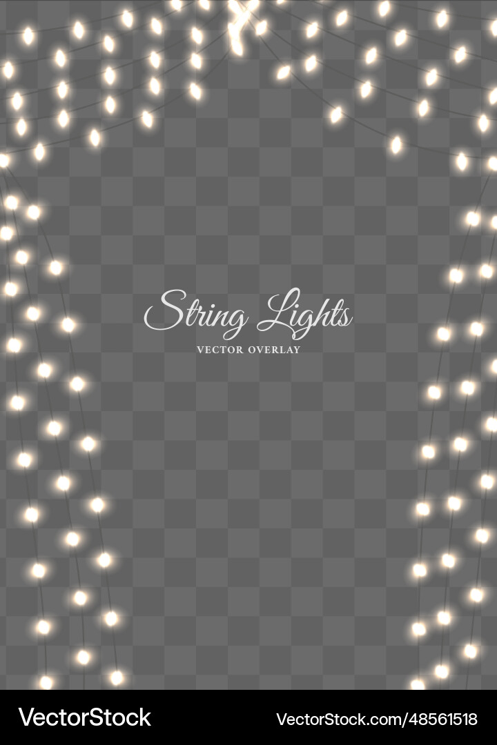 Twinkling fairy string lights overlay dark Vector Image