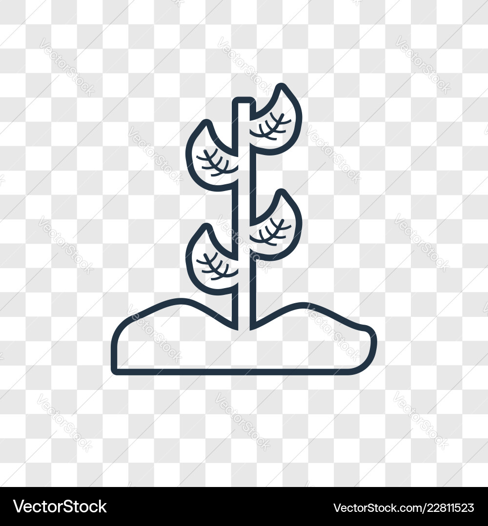 Plant concept linear icon isolated on transparent Vector Image