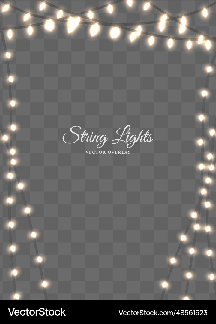 Twinkling fairy string lights overlay dark Vector Image