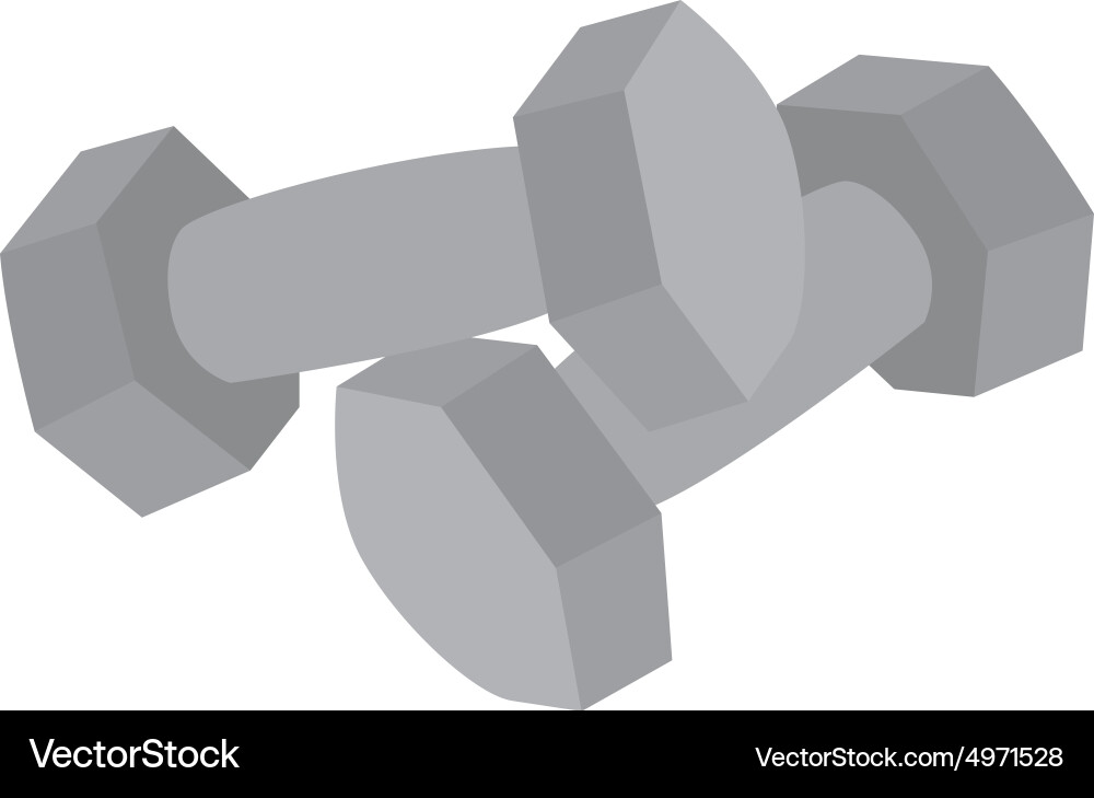 Abstract gym weight on a white background Vector Image