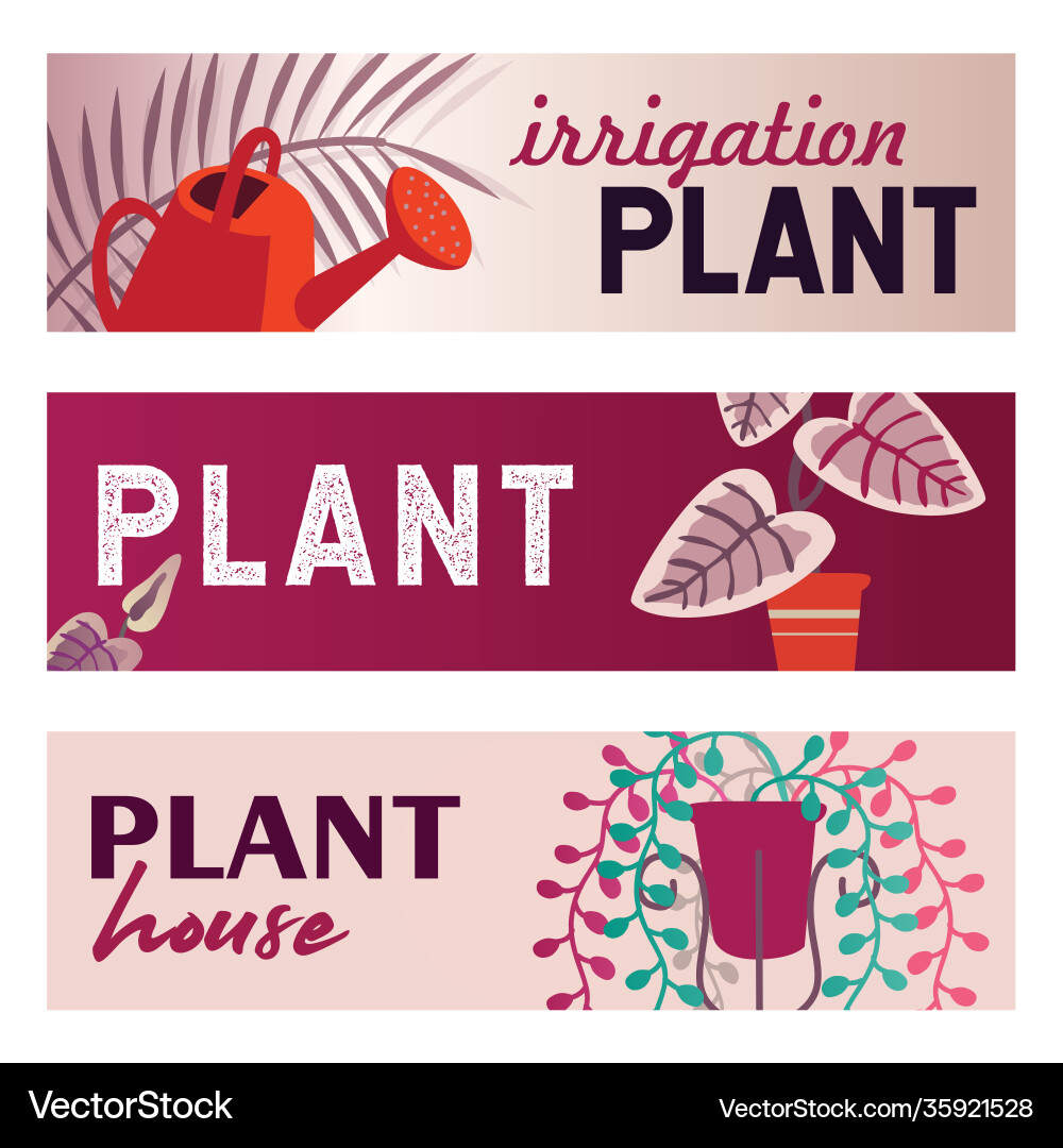 Home plants banners set Royalty Free Vector Image