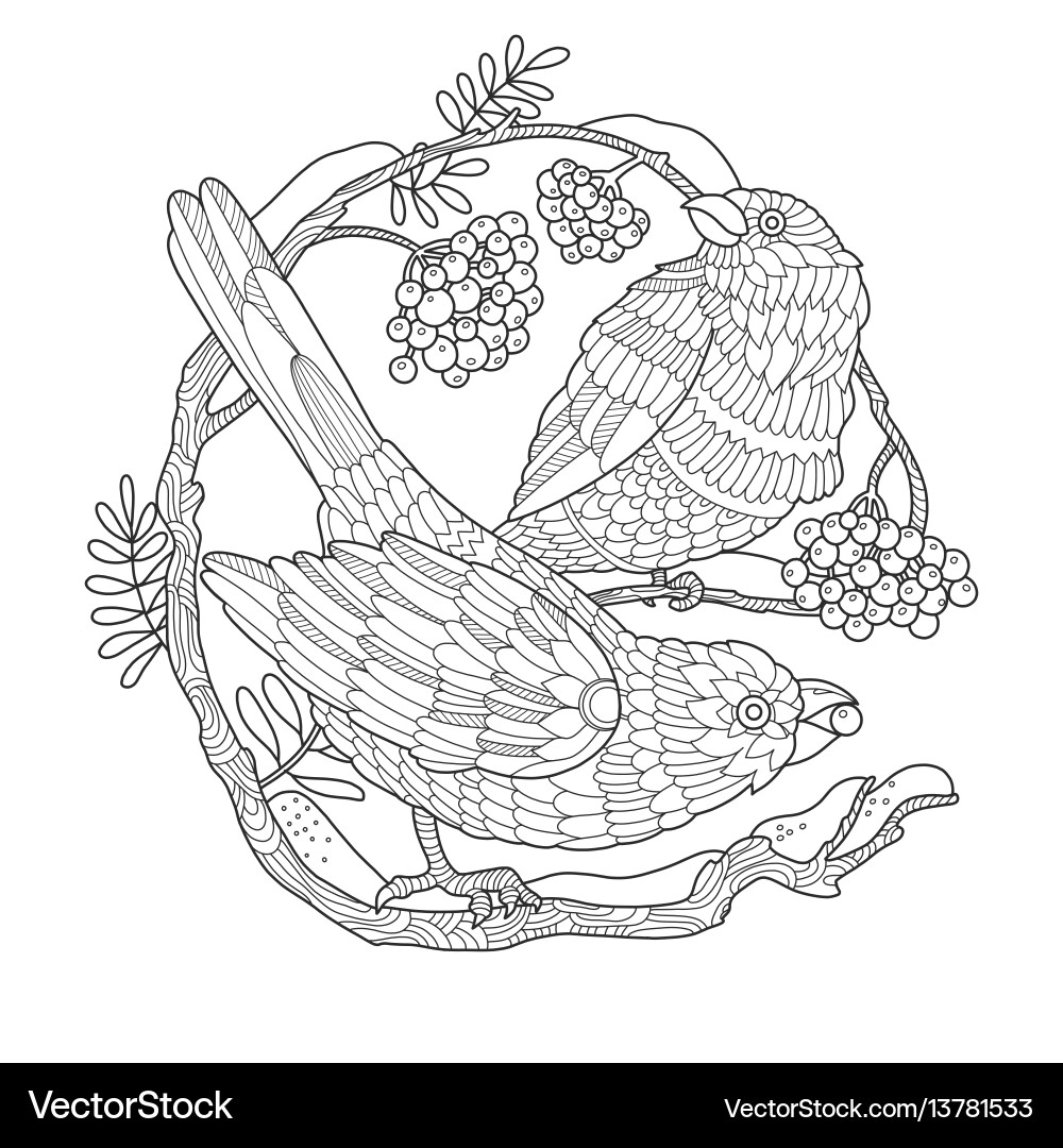 Birds and rowan coloring book Royalty Free Vector Image