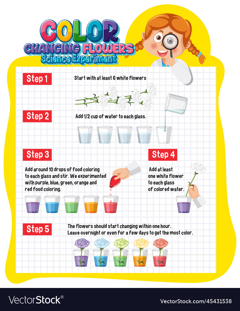 Color changing flowers science experiment Vector Image