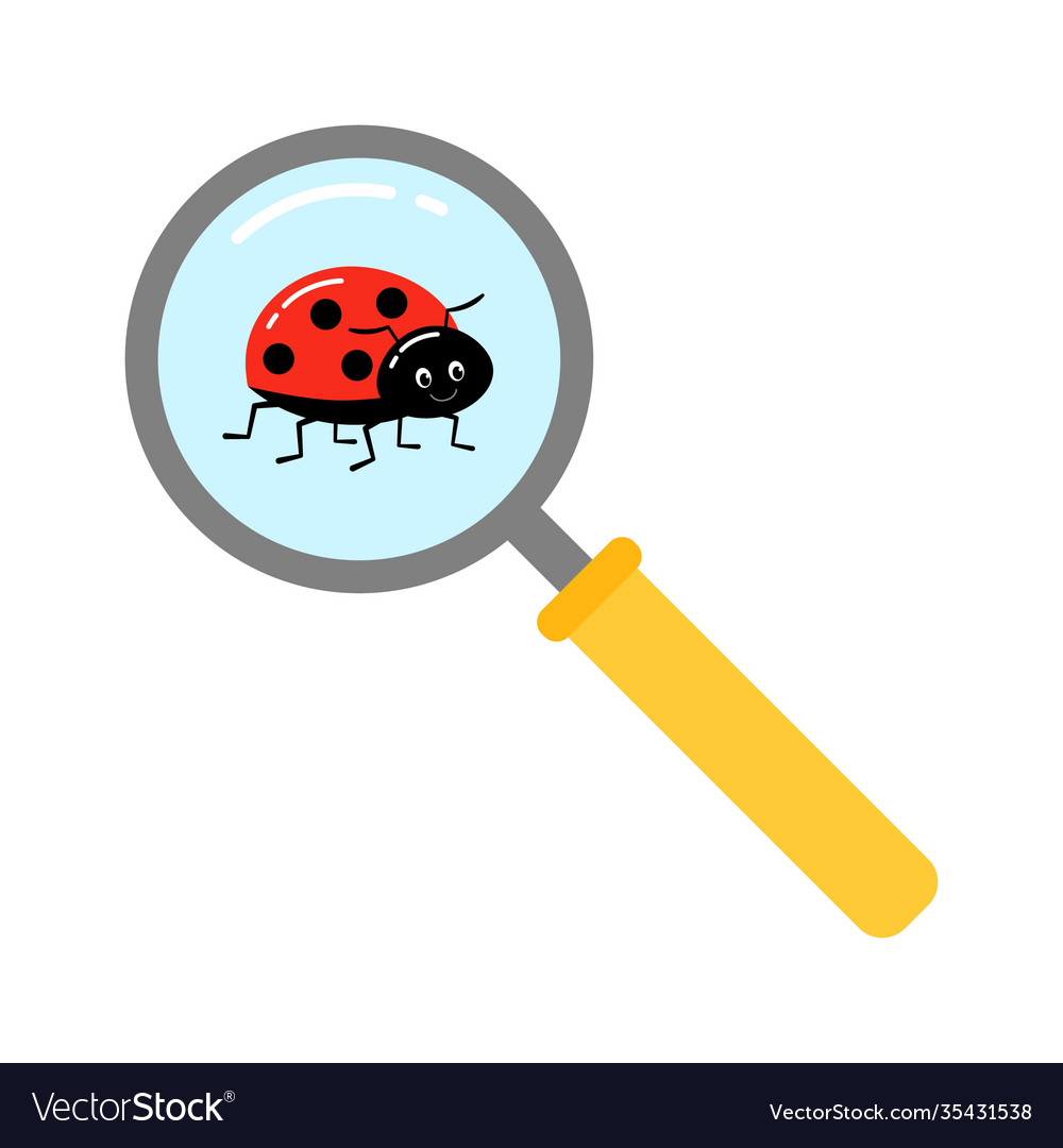 Magnifying Glass With Lady Bugs Over White Vector Image