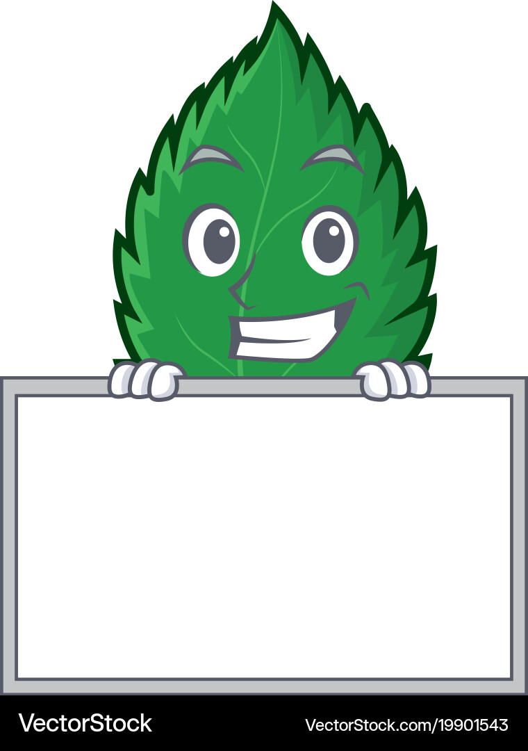 Grinning with board mint leaves character cartoon Vector Image