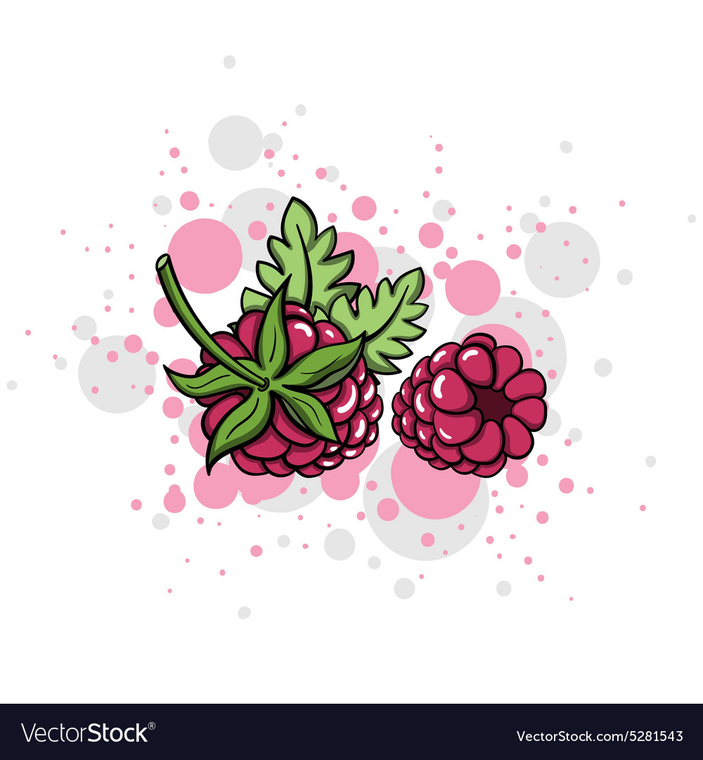 RaspberryStyle Royalty Free Vector Image - VectorStock