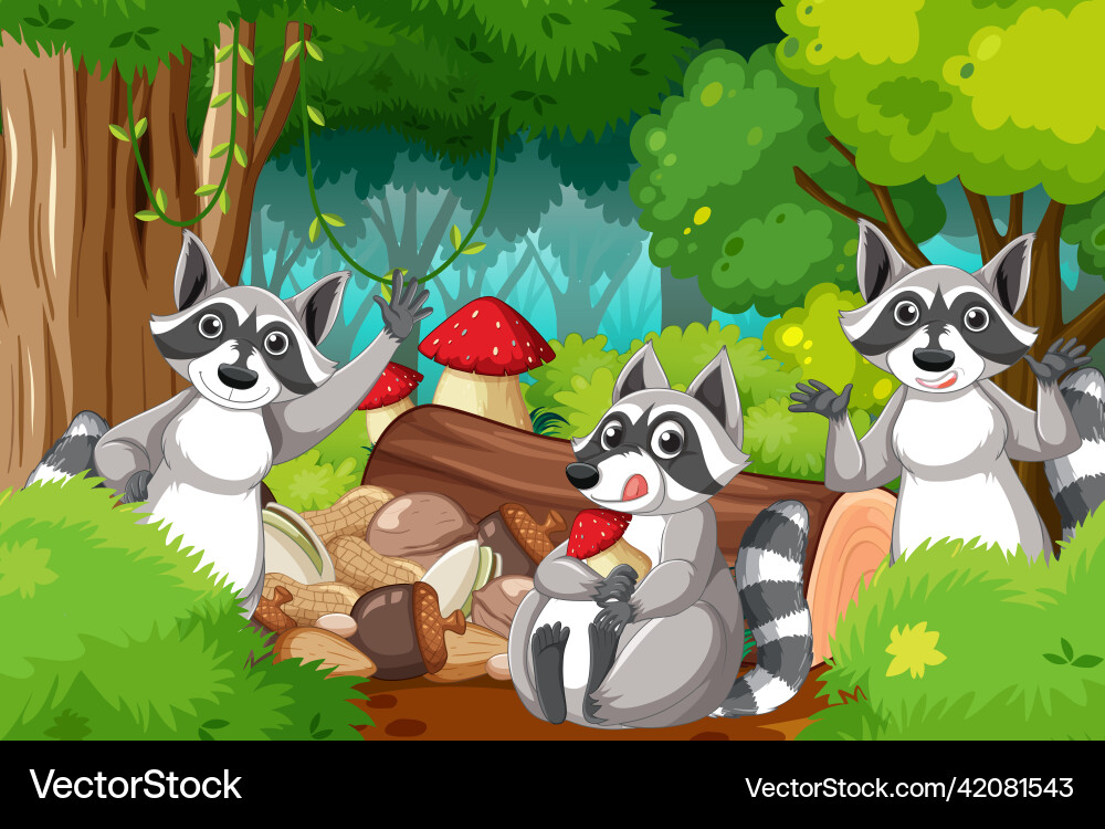 Three raccoons in the forest Royalty Free Vector Image