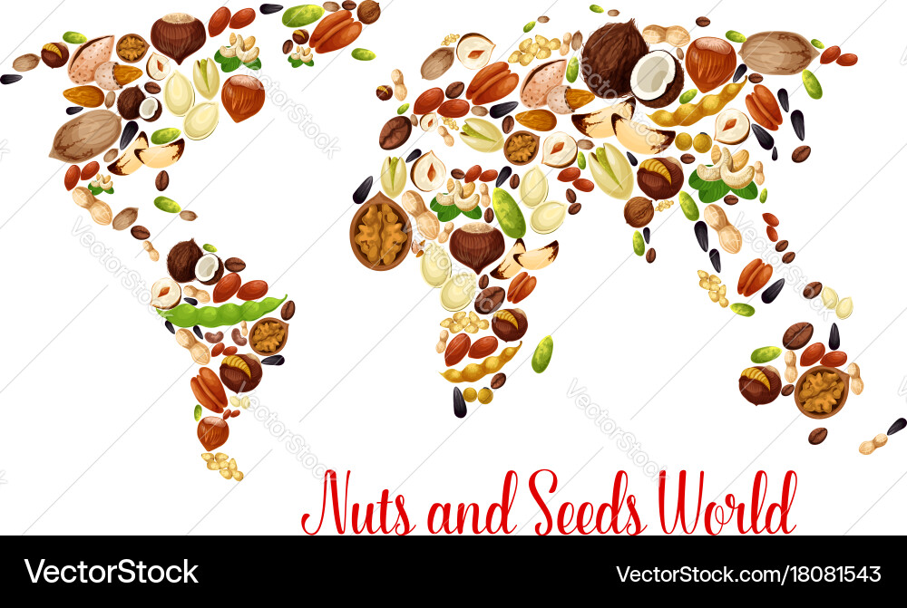 World map nuts seed and bean food design Vector Image