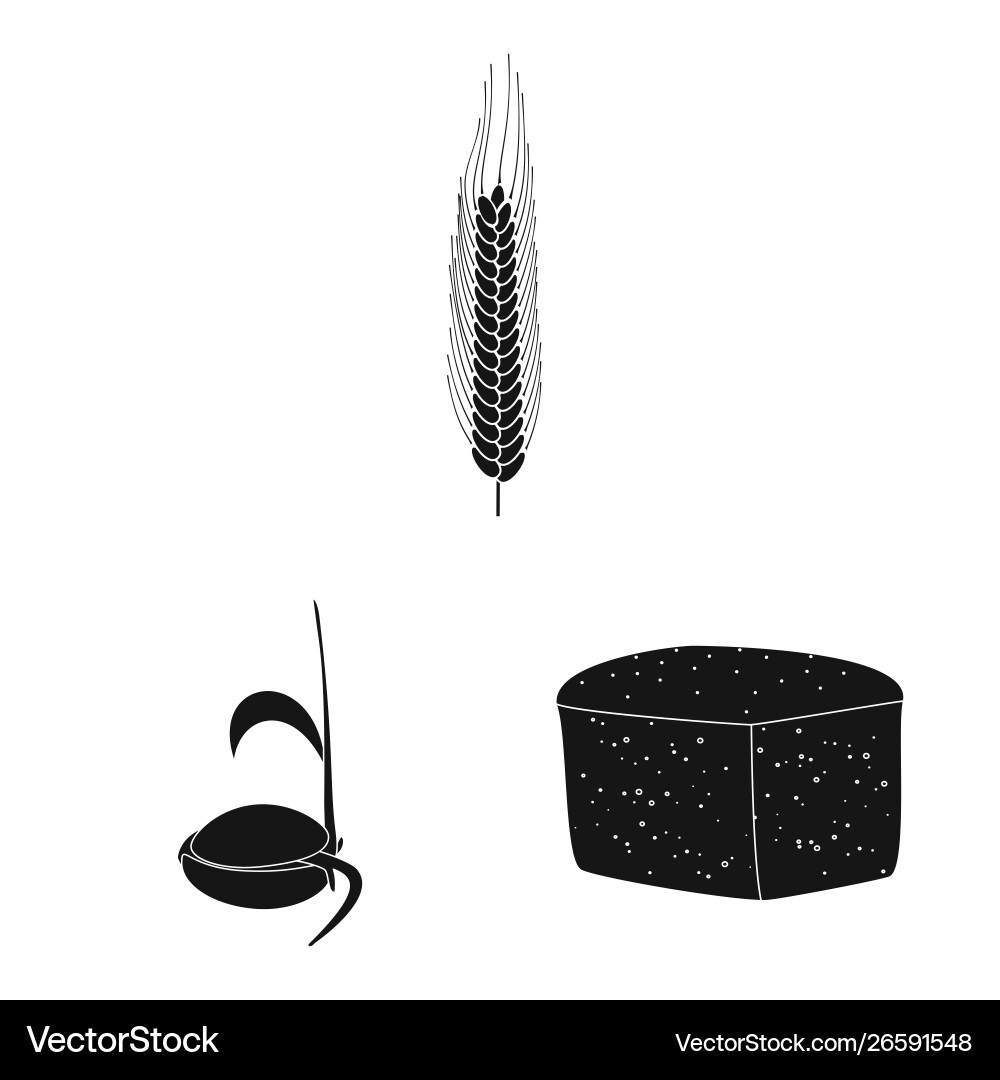 Design rye and plant logo set Royalty Free Vector Image