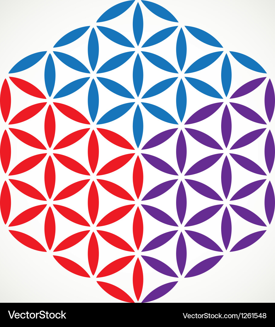Flower of life Royalty Free Vector Image - VectorStock