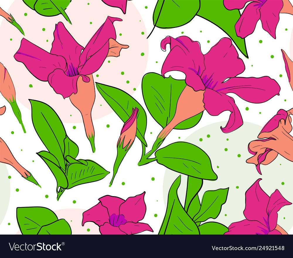 Flowers seamless pattern floral spring background Vector Image
