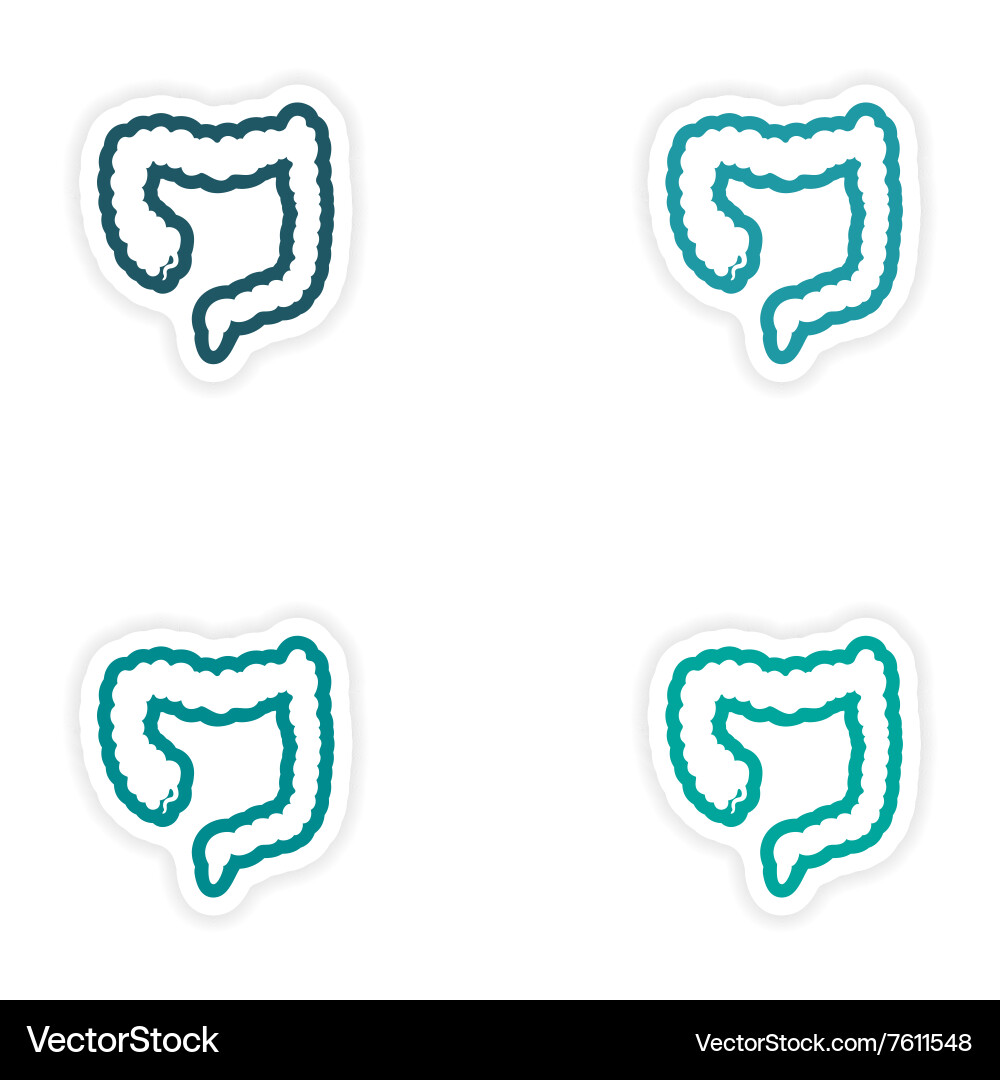 Set of paper stickers on white background duodenum