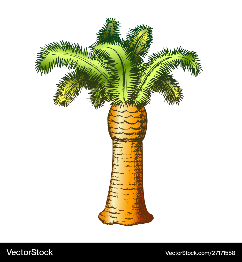 Palm coastline tropical tree color Royalty Free Vector Image
