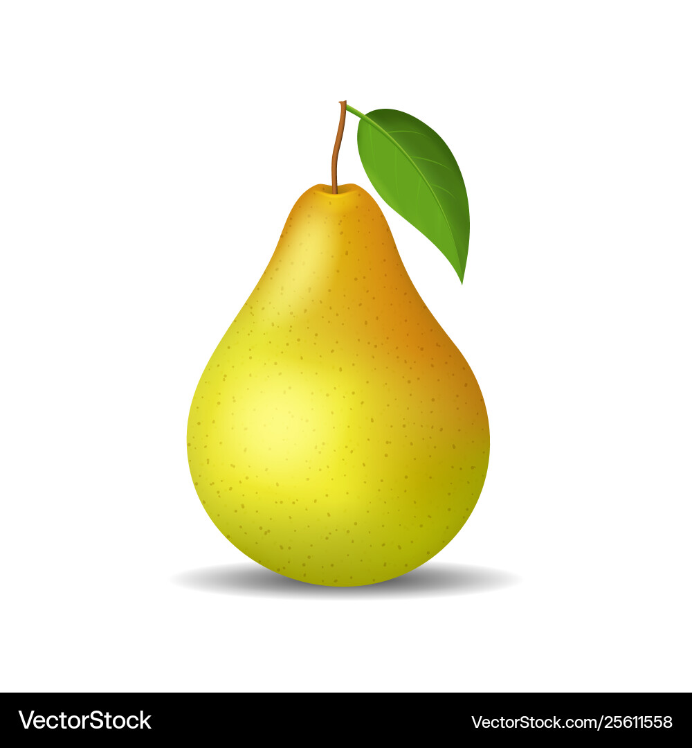 Realistic detailed 3d whole pear isolated Vector Image